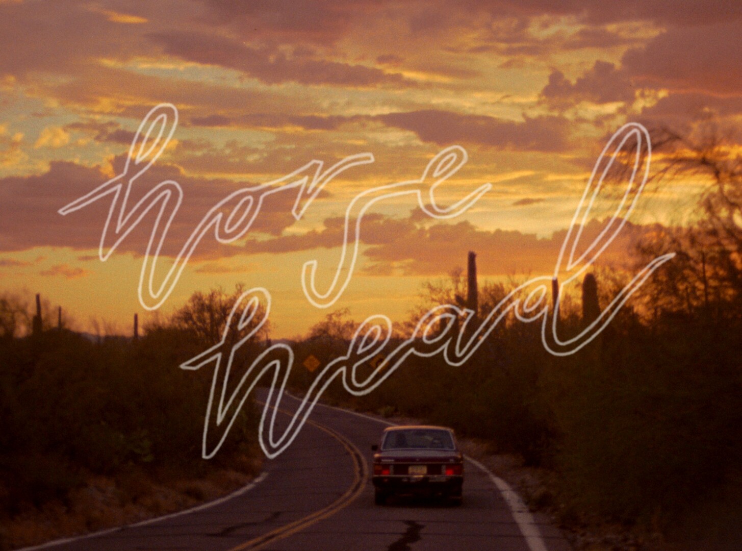 Horse Head: A Surreal 16mm Film by Bennett Curran and Harrison Cable